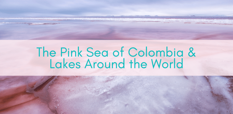 The Pink Sea Of Colombia & 5 Spectacular Pink Lakes Around The World ...