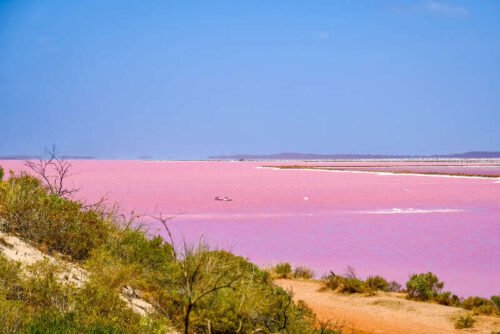 The Pink Sea Of Colombia & 5 Spectacular Pink Lakes Around The World ...