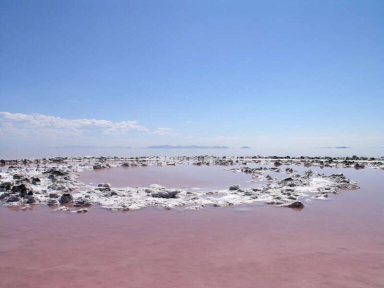 The Pink Sea Of Colombia & 5 Spectacular Pink Lakes Around The World ...