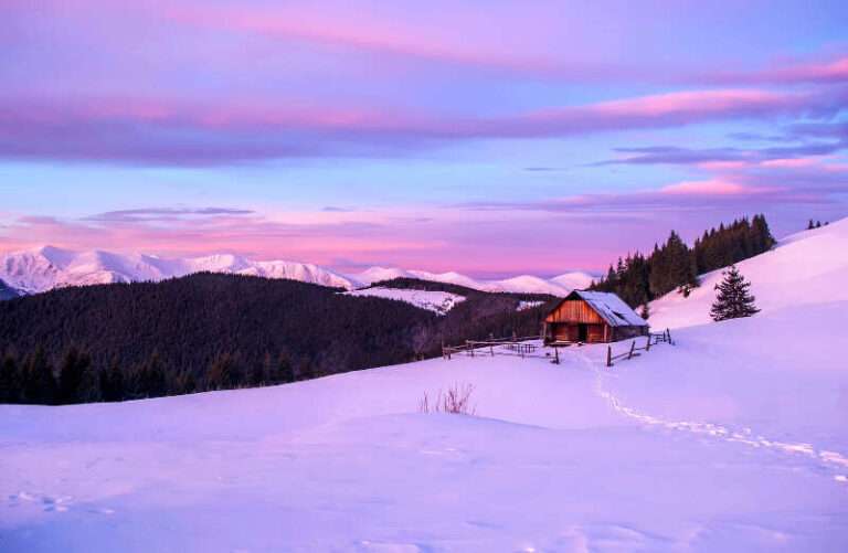 The 5 Best Ways To Entertain Yourself In A Cabin - Girls Who Travel