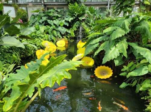 The Ultimate 4-Day Girl's Guide To Phoenix Arizona - Girls Who Travel